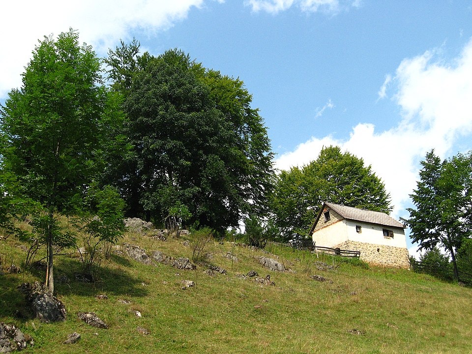 Povlen – Planina iz valjevske Zemlje čuda